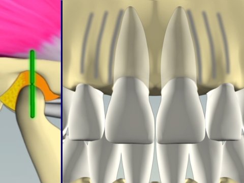 May 2013 BiteFX Updates