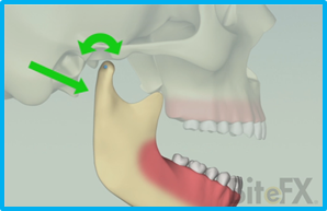 BiteFX November Updates