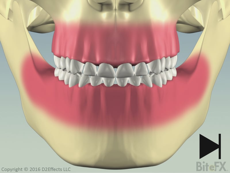 July 2016 BiteFX Update